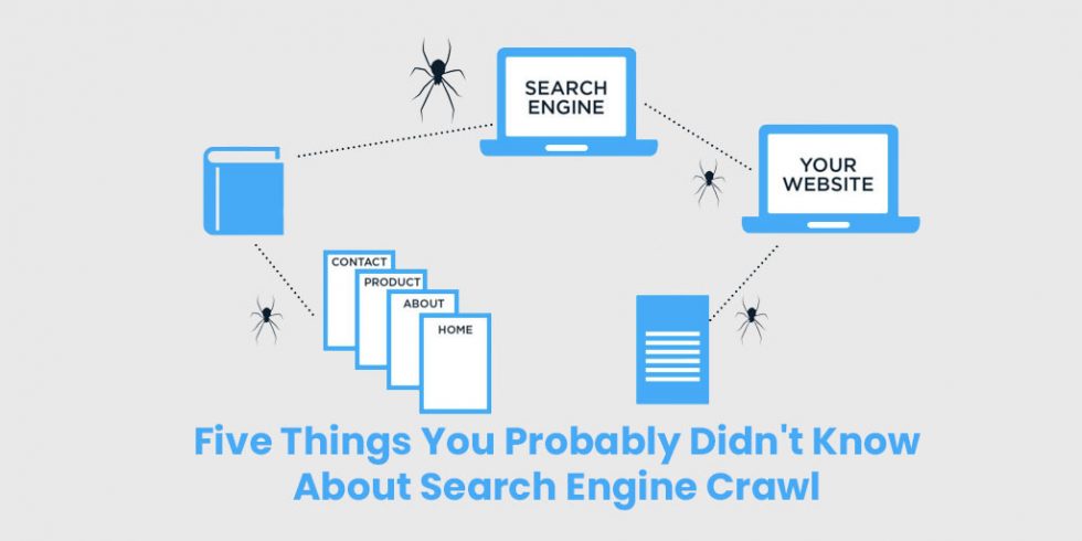 Five Things You Probably Didn't Know About Search Engine Crawl - SEO ...